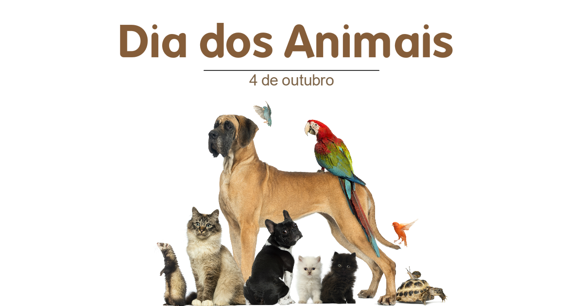 Dia dos Animais | 4 de outubro - Calendarr