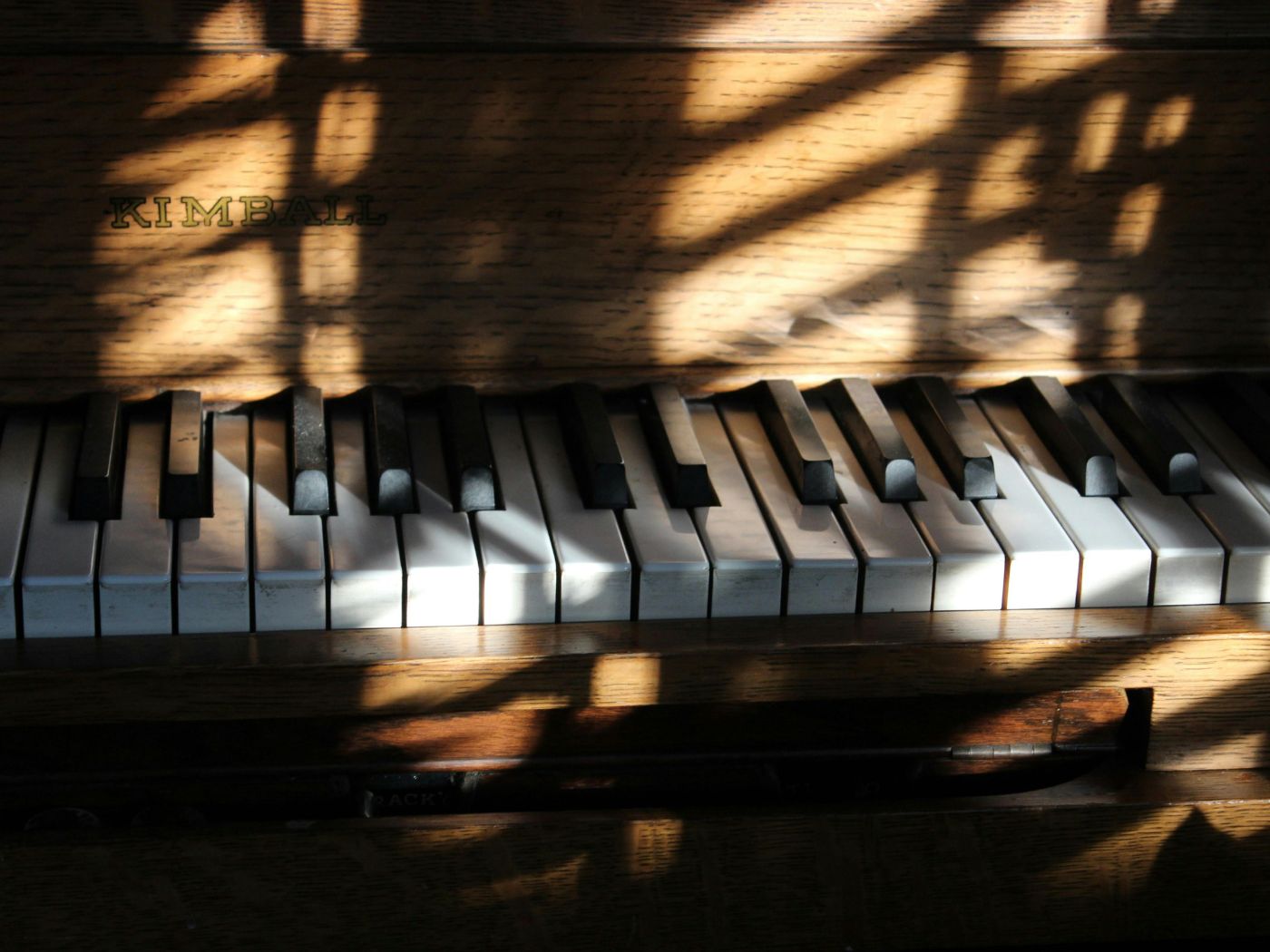 World Piano Day | March 29 - Calendarr