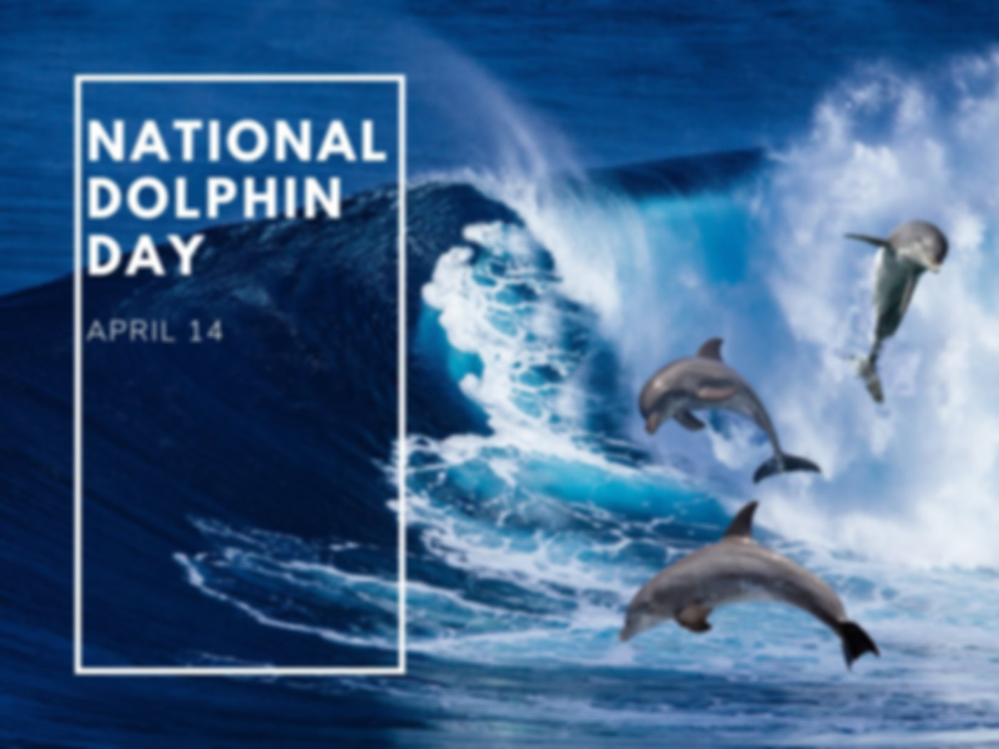 National Dolphin Day | April 14 | Protect & Preserve The Marine Mammals ...