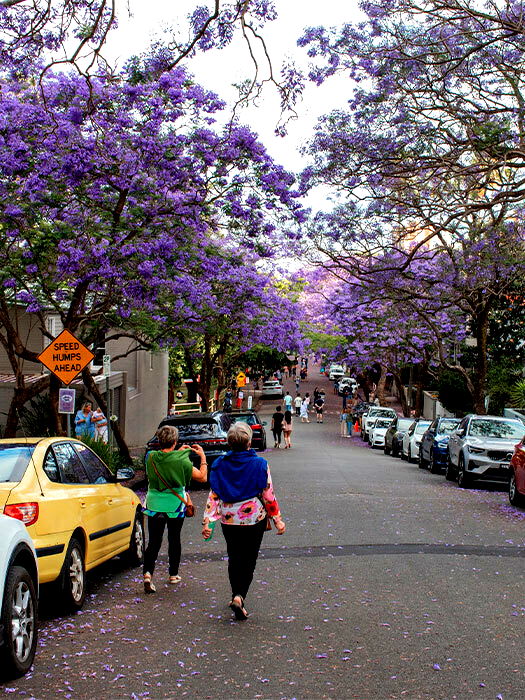 Spring in Australia - Calendarr