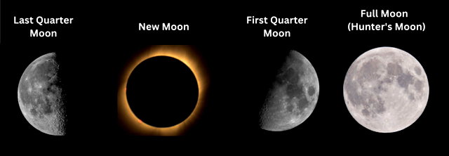 Hunter's moon: Occurrence, Meaning, and Origin - Calendarr