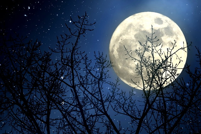 Fases da lua: quais são e quantas são as etapas do ciclo lunar - Calendarr