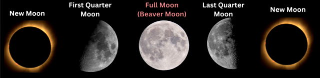 Strawberry moon 2024: June Full Moon explained - Calendarr