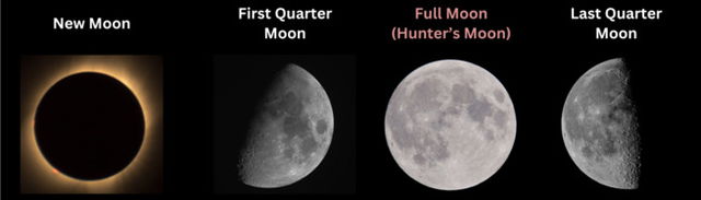 Hunter's moon 2024: Occurrence, Meaning, and Origin - Calendarr