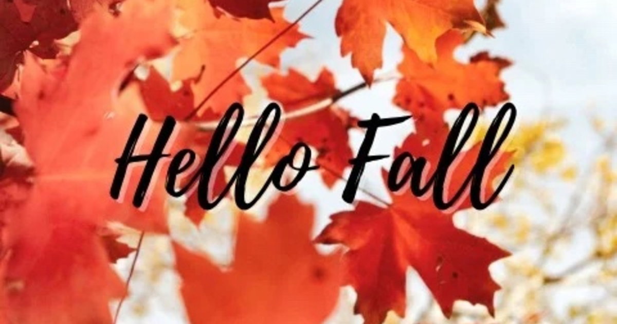 When Does Fall Start 2025 Usa Universities Jennifer Allen When Does Fall Start 2025 Usa Universities Jennifer Allen