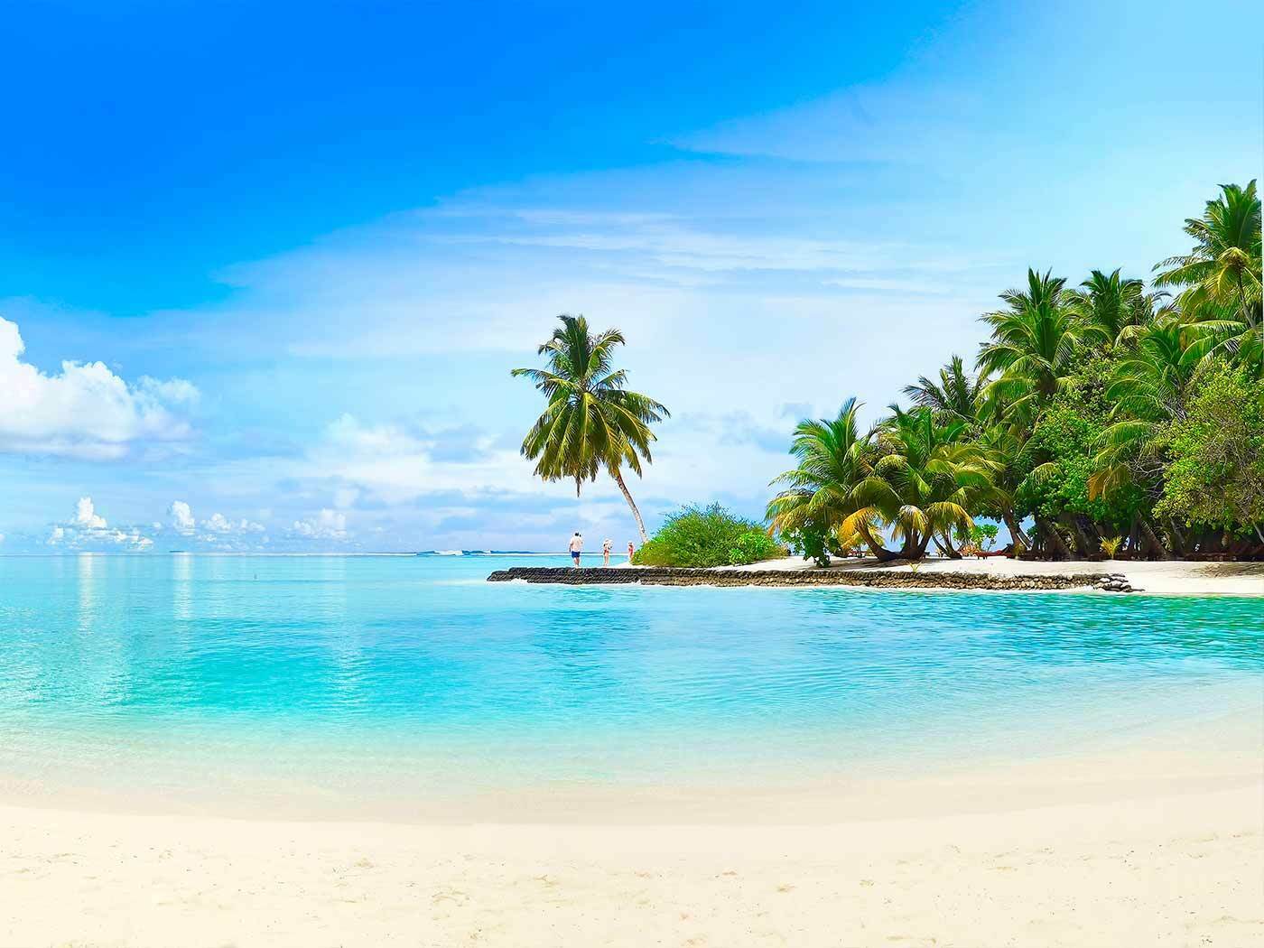 Verão: quando começa, características e o que representa - Calendarr