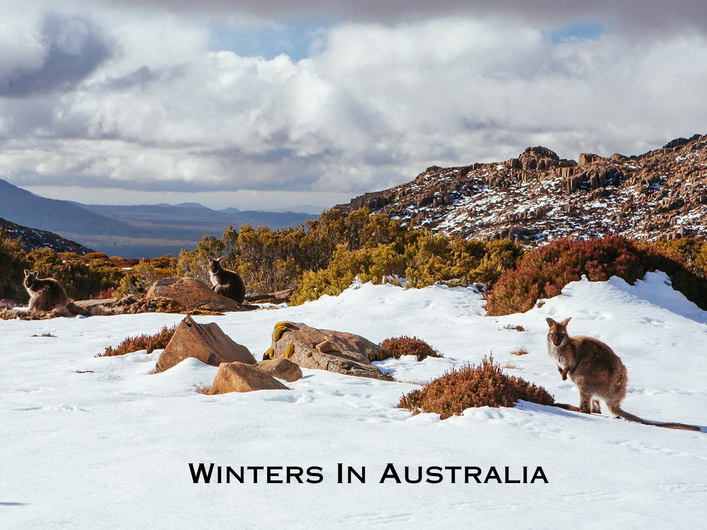 Winter In Australia: Everything From Crops, Climate, And Cultural ...