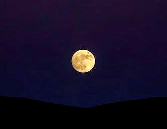 Wolf Moon: What Do You Need To Know About It - Calendarr