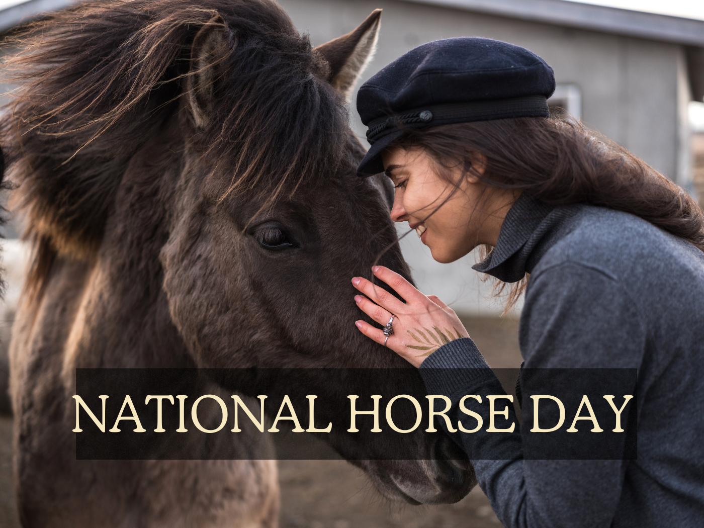 National Day of the Horse | December 13 - Calendarr