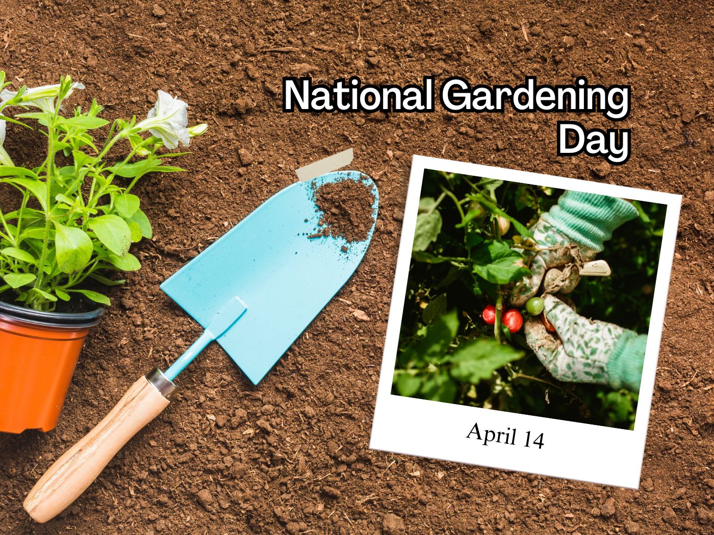National Gardening Day | April 14 - Calendarr